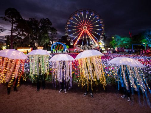 The Insider Guide To Floriade In Canberra | Australian Traveller