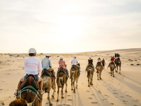 A Go-To Guide to Newcastle Beaches | Australian Traveller