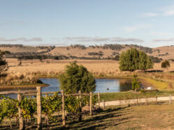 Picture-Perfect Wineries in Daylesford - Australian Traveller