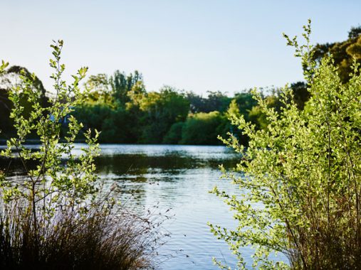 Lake Daylesford: A visitor's guide to this picture-perfect landmark