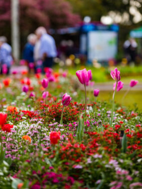 What's On In Your State In September 2024 | Australian Traveller