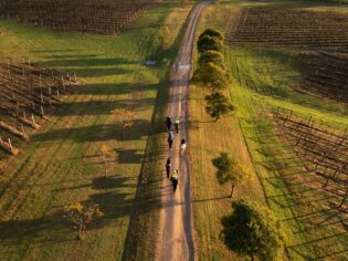 The Ultimate Hunter Valley Travel Guide | Australian Traveller