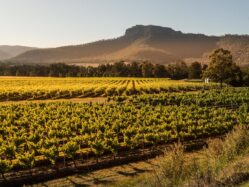 Imogen Eveson, Author at Australian Traveller