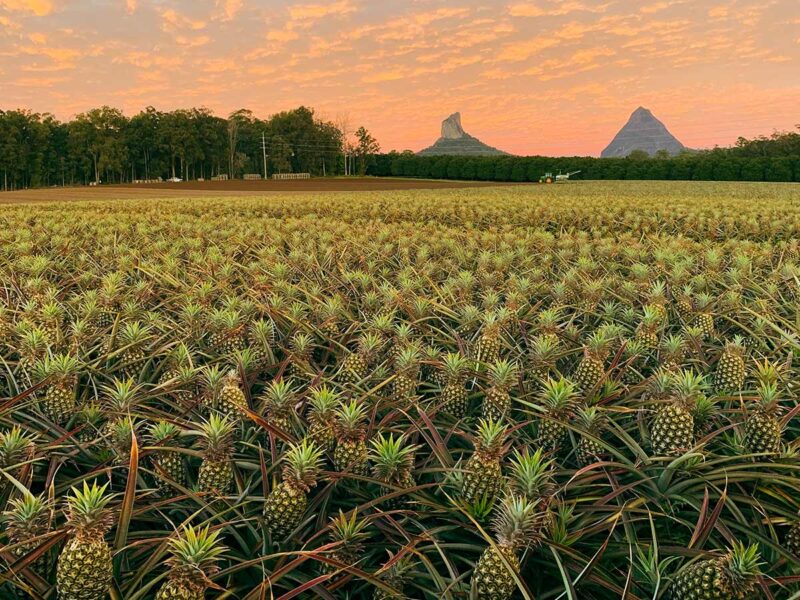 The Ultimate Queensland Getaway | Australian Traveller