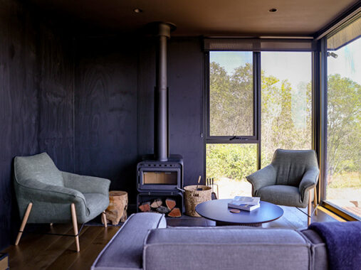 Unmissable Gondwana Rainforest Experiences In The Scenic Rim ...