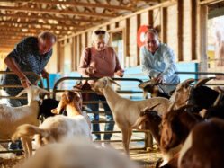 9 Must-See Sydney Zoos and Wildlife Experiences | Australian Traveller