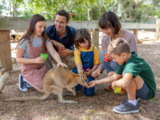 9 Must-See Sydney Zoos and Wildlife Experiences | Australian Traveller