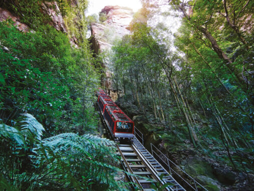 Everything You Need To Know About Scenic World - Australian Traveller