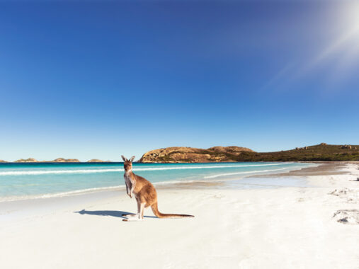 The 9 Best Australian Beaches According To Lonely Planet - Australian ...