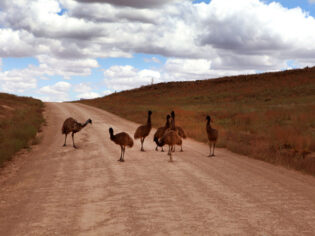 Flinders Ranges Camping: An Ultimate Guide | Australian Traveller