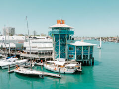 Unforgettable Things To Do In Mooloolaba | Australian Traveller