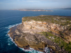 16 Iconic Things To Do In Manly | Australian Traveller