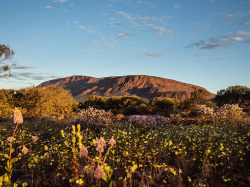 10 Outback Wonders for Adventure Seekers Around Australia | Australian ...