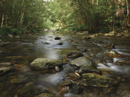 Orara Valley: 8 Surprising Secrets To Discover | Australian Traveller