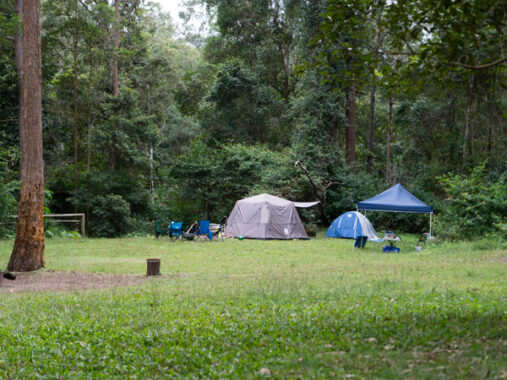 13 Brisbane Camping Spots You Don't Want To Miss | Australian Traveller