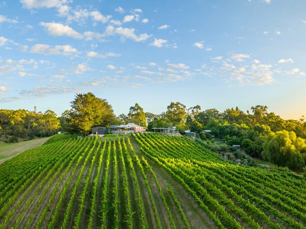 15 Adelaide Hills Wineries You Must Visit | Australian Traveller