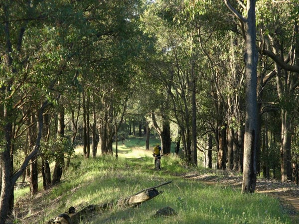 The 21 Most Incredible Rail Trails Around Australia | Australian Traveller