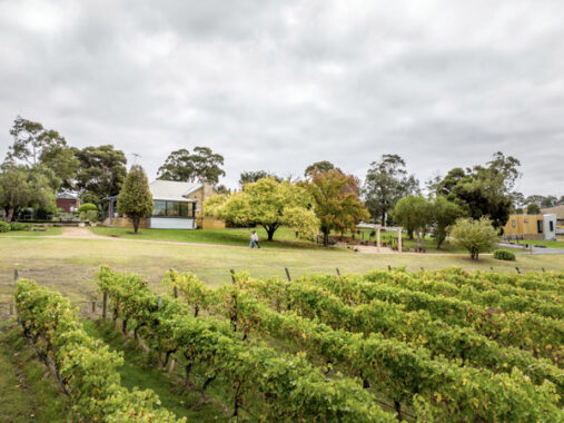 15 Adelaide Hills Wineries You Must Visit | Australian Traveller