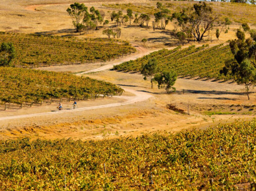 The Riesling Trail In Clare Valley: Everything You Need To Know ...