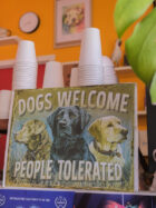 The 23 Best Pet-Friendly Cafes In Australia | Australian Traveller