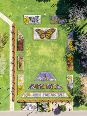 15 stunning spring festivals around Australia - Australian Traveller