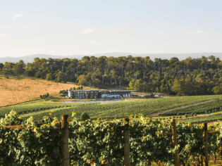 The Best Yarra Valley Wineries (2024) | Australian Traveller