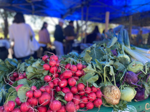 13 of the Best Perth Markets to Visit