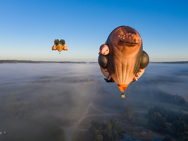 These iconic skywhales are about to set sail across Australia again ...