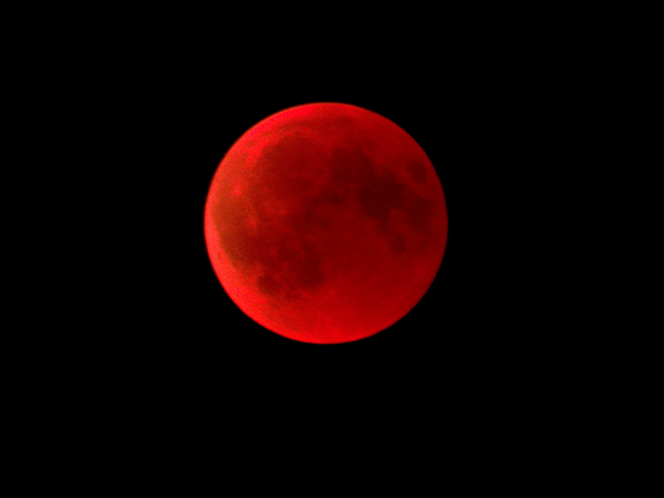 The first blood moon since 2022 is here. Here's how to see it