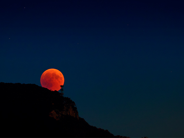 The first blood moon since 2022 is here. Here's how to see it