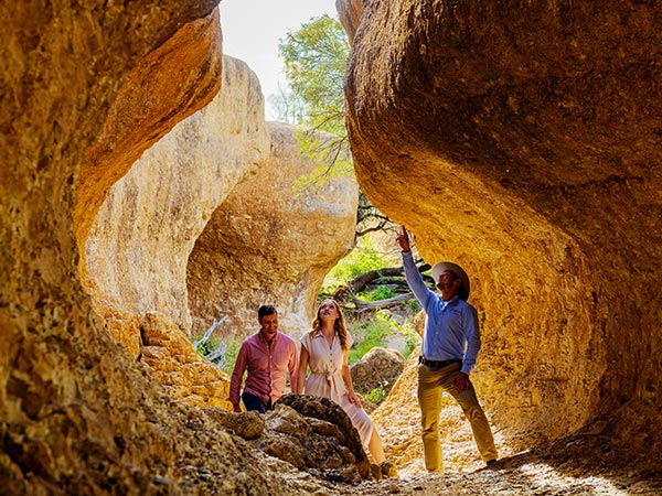 Reefsleep: Australia's first underwater hotel will blow your mind ...