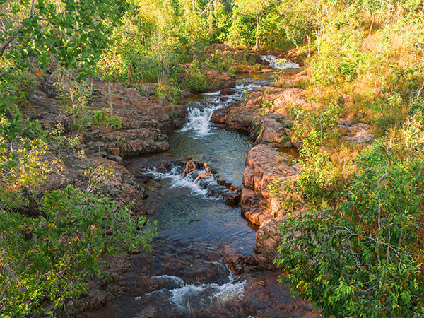 10 Incredible Things To Do in Parap, NT | Australian Traveller
